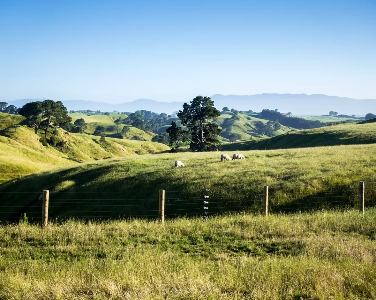 Matamata Country Club - The Luxury Retirement Village - Matamata ...